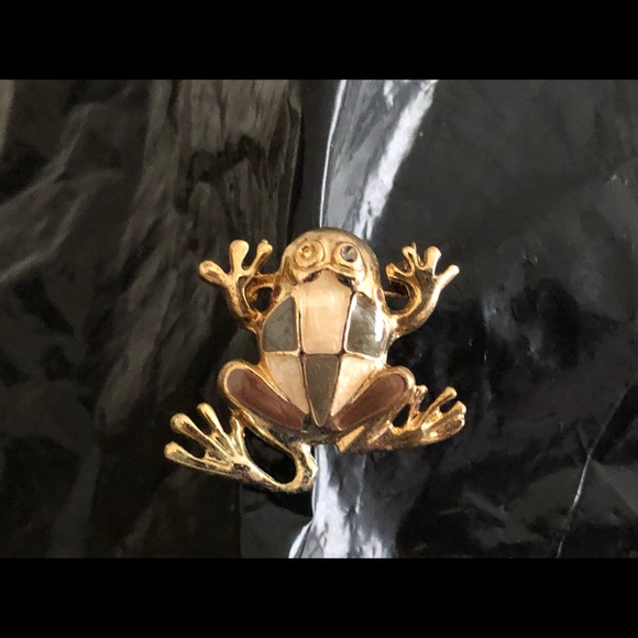 Jewelry | Frog Pin The Prince That Forgot To Change | Poshmark